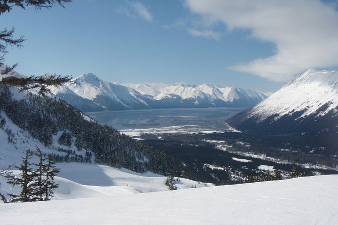 Whittier to Anchorage Cruise Transfer and Private Tour - Key Points