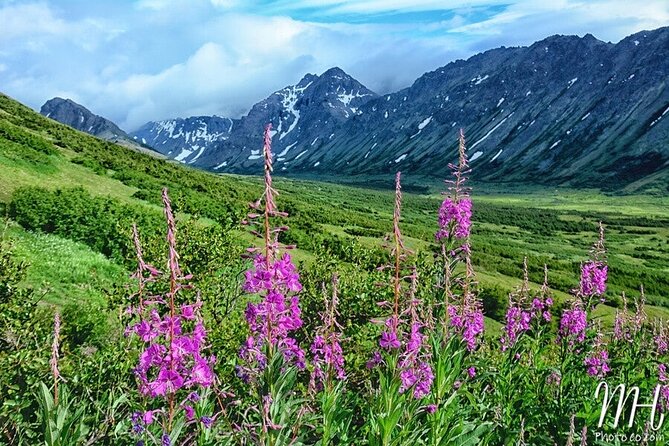 Whittier to Anchorage Half Day Transit Tour From the Port - Pricing and Value Consideration