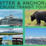 Whittier to Anchorage Land Transfer Tour With AWCC - Transportation and Overall Experience