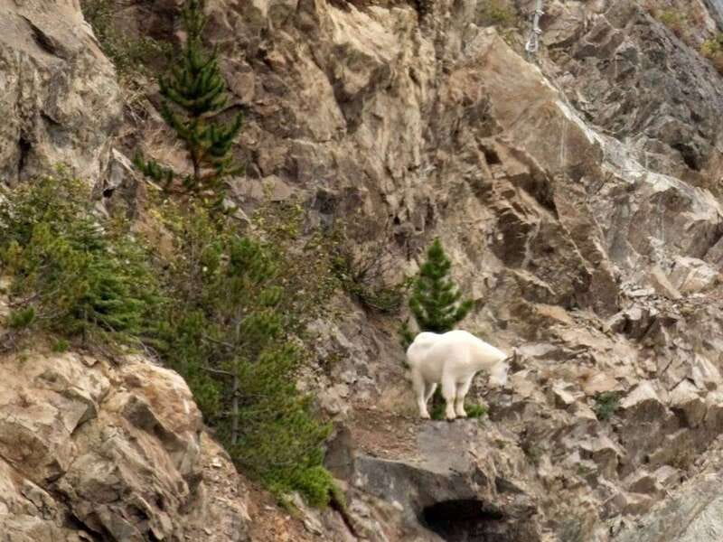 Wild Adventure Yukon + Summit Tour - The Journey Begins: From Skagway to Yukon