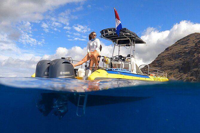 Wild Dolphin Watching and Snorkel Safari Off West Coast of Oahu - Wild Dolphin Watching and Snorkel Safari Off West Coast of Oahu