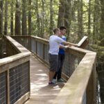Wild Florida Adventure Package Tour with Transportation - The Airboat Ride: The Heart of the Tour
