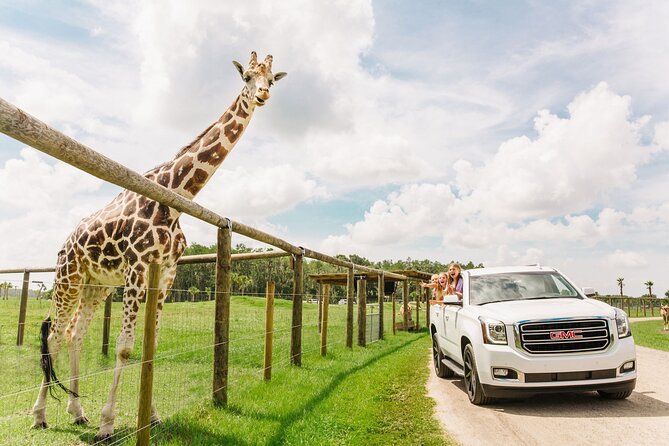 Wild Florida Drive-Thru Safari and Gator Park Admission - Wild Florida Drive-Thru Safari and Gator Park Admission: A Complete Guide