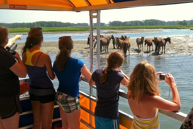Wild Pony Watching Boat Tour from Chincoteague to Assateague - Final Thoughts