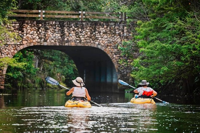 Wild & Scenic Loxahatchee River Guided Tour - Exploring the Experience: What to Expect