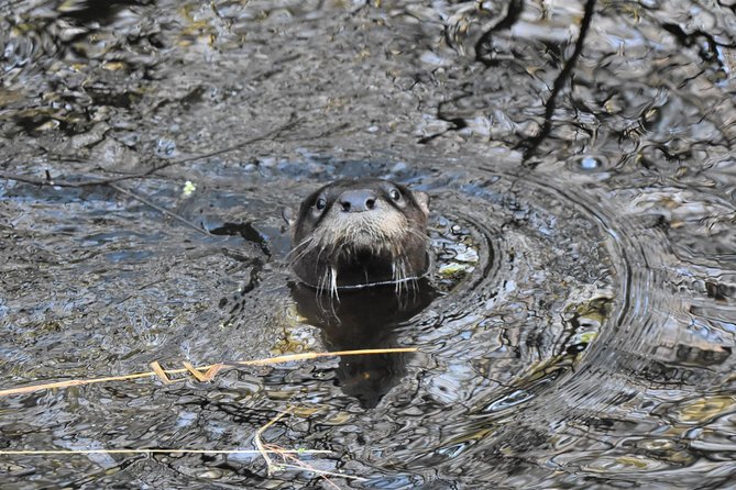 Wild & Scenic Loxahatchee River Guided Tour - The Value of the Tour