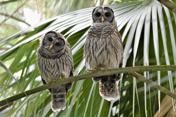 Wild & Scenic Loxahatchee River Guided Tour - The Sum Up