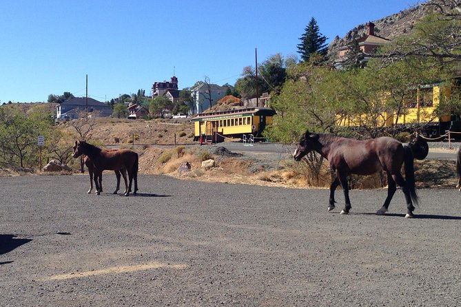 Wild West Day Trip to Virginia City from Tahoe with Train Ride - Who Is This Tour Best For?