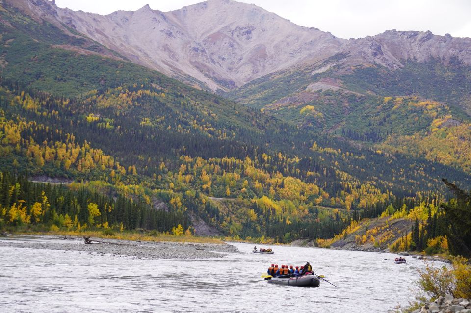 Wilderness: Denali National Park Class I-II Rafting Tour - What’s Included and What’s Not
