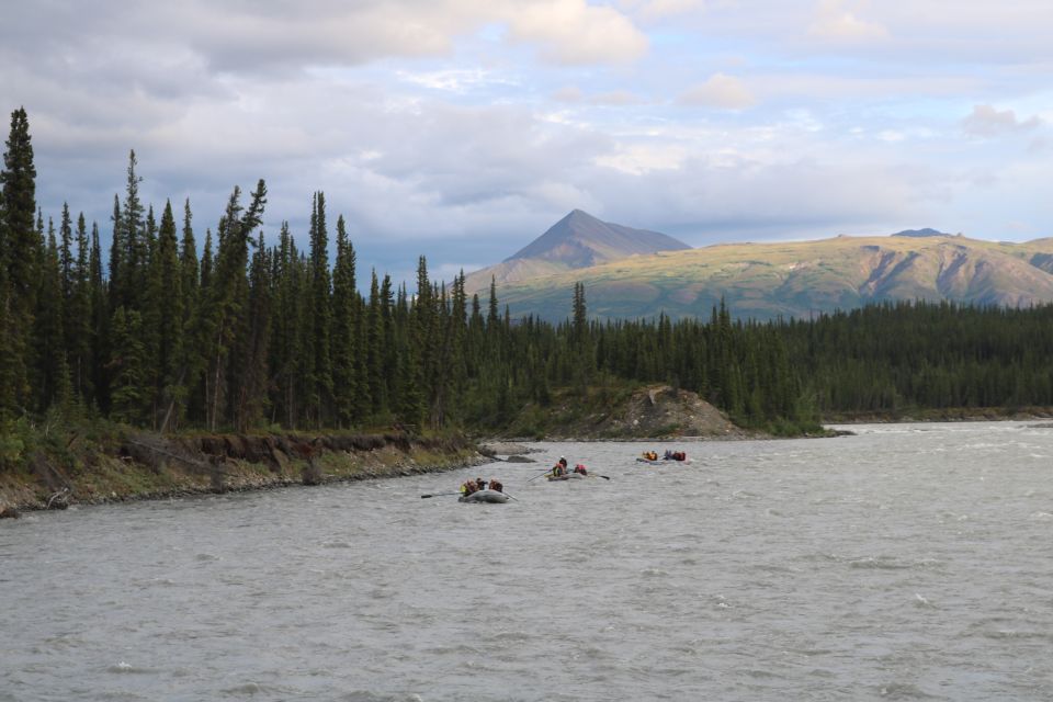 Wilderness: Denali National Park Class I-II Rafting Tour - The Value Equation