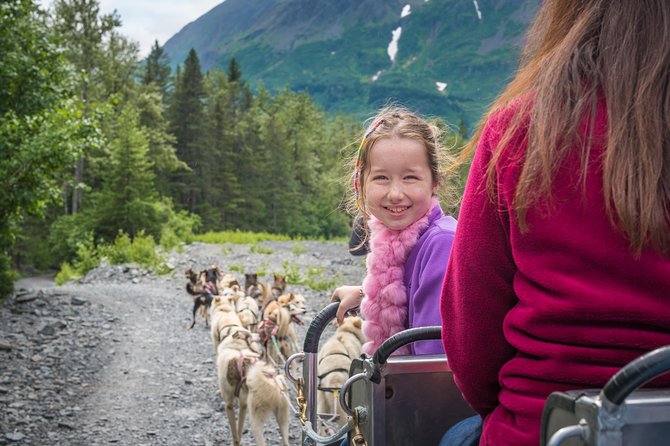 Wilderness Dog Sled Ride and Tour in Seward - Who Will Love This Tour?