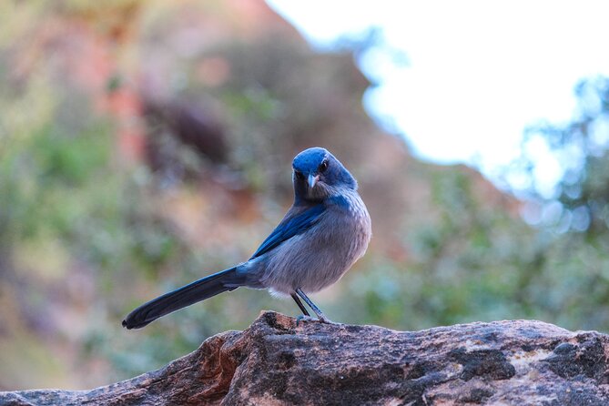 Wilderness Hiking Tours - Discovering the Superstition Mountains with Wilderness Hiking Tours