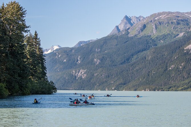 Wilderness Kayak Adventure in Haines - The Practicalities: What You Need to Know