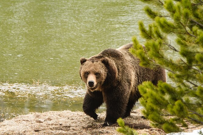 Wildlife and Waterfalls - Key Points
