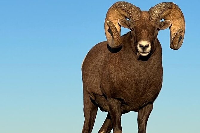 Wildlife Biologists Field Expedition: The Badlands Uncovered - The Sum Up