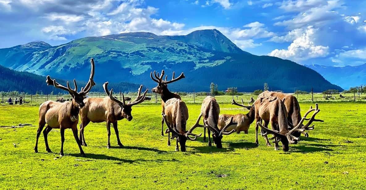 Wildlife Center with Lunch & Local Beer Sampling - What Makes This Tour a Great Choice?