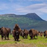 Wildlife Center with Lunch & Local Beer Sampling - Winter&Summer - FAQ