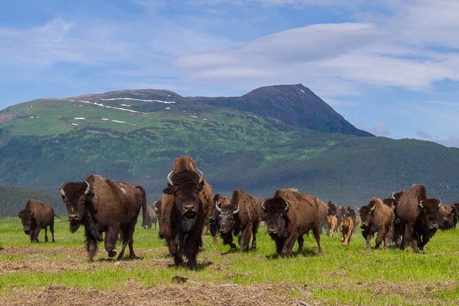 Wildlife Center with Lunch & Local Beer Sampling - Winter&Summer - FAQ