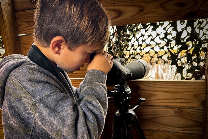 Wildlife Photo Safari - Practical Tips for Making the Most of Your Safari