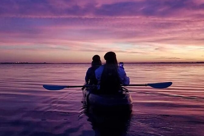 Wildlife Refuge Bio Comb Jelly Sunset Kayak or Paddleboard Tour! - The Sum Up