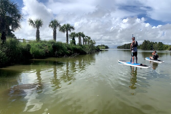 Wildlife Refuge Dolphin, Manatee & Mangrove Kayak or Paddleboarding Tour! - Key Points