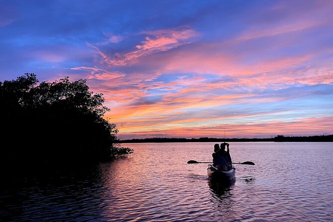 Wildlife Refuge Dolphin, Manatee & Mangrove Kayak or Paddleboarding Tour! - An In-Depth Look at the Wildlife & Scenic Experience