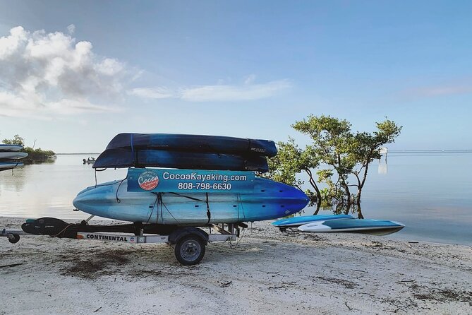 Wildlife Refuge Dolphin, Manatee & Mangrove Kayak or Paddleboarding Tour! - Authenticity & Real Experiences from Reviews