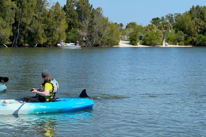 Wildlife Refuge Dolphin, Manatee & Mangrove Kayak or Paddleboarding Tour! - Who Would Love This Tour?