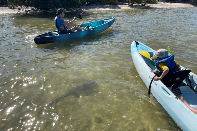 Wildlife Refuge Dolphin, Manatee & Mangrove Kayak or Paddleboarding Tour! - Final Thoughts: Is It Worth It?