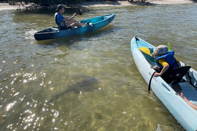 Wildlife Refuge Sunset Dolphin, Manatee & Mangrove Kayak or Paddleboarding Tour! - The Value of the Experience