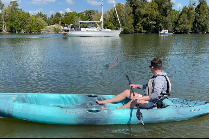 Wildlife Refuge Sunset Dolphin, Manatee & Mangrove Kayak or Paddleboarding Tour! - Final Thoughts