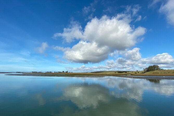 Wildlife Safari Boat Tour in Scenic Monterey Bay Wetland - Wildlife Encounters – What You’re Likely to See