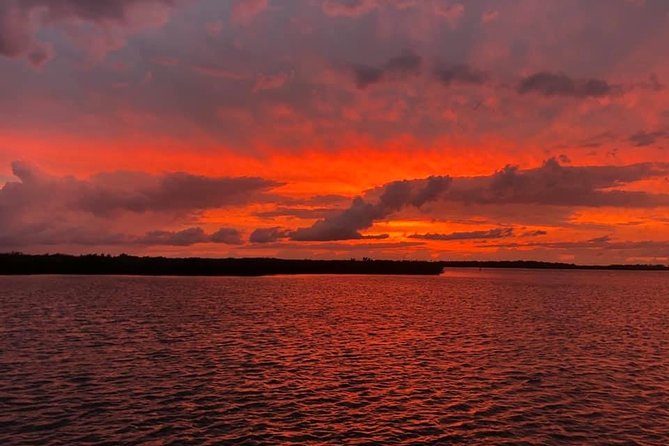 Wildlife Tour of Indian River Lagoon with Experienced Captain - Detailed Breakdown of the Itinerary