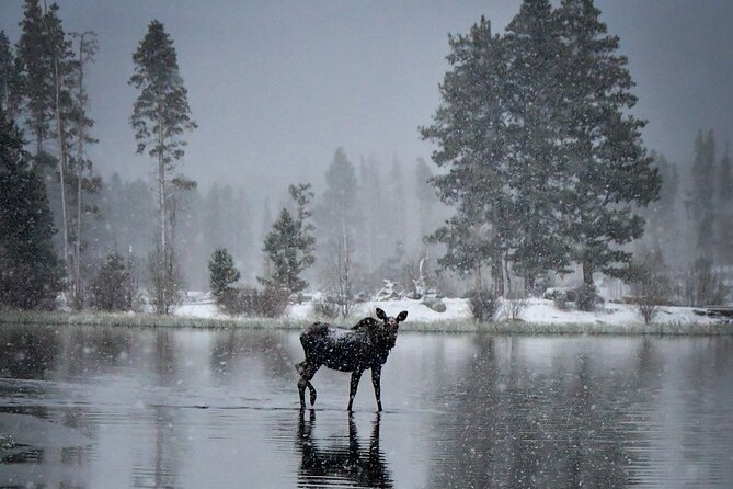 Wildside 4X4's Winter Wonderland Photo Tour - Exploring the Experience in Detail