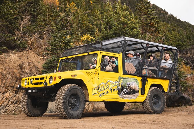 Wildside 4X4's Winter Wonderland Photo Tour - Final Thoughts: Is It Worth It?