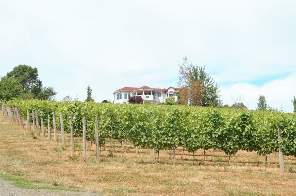 Willamette Valley Wine Tour - What Makes This Tour Stand Out
