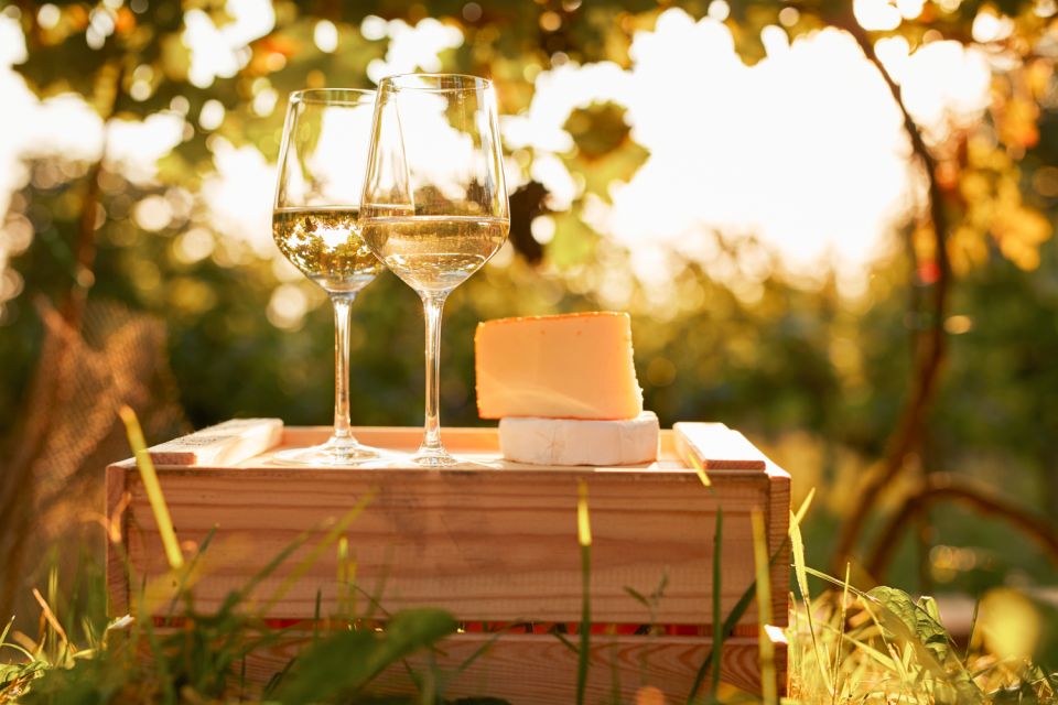 Willamette Valley Wine Tour - The Sum Up