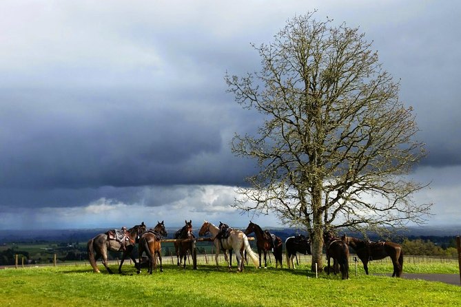 Willamette Valley Wine Tour from Portland - FAQs