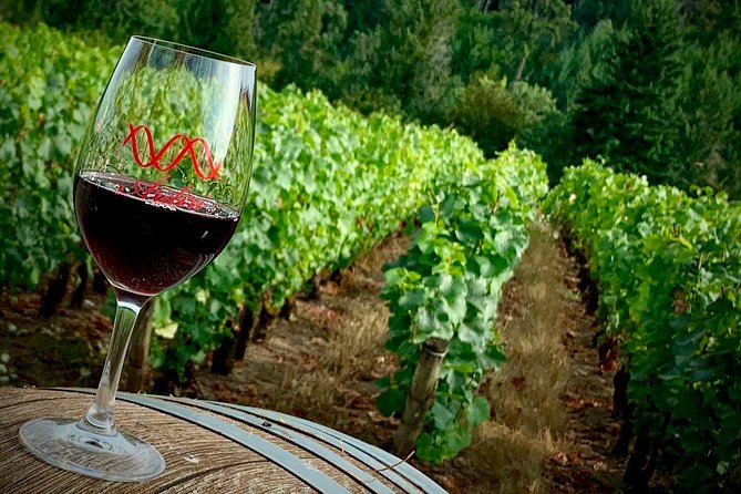 Willamette Valley Wine Tour from Portland - Final Thoughts