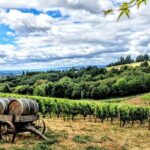Willamette Valley Wine Tour - Full Day Tour - Who Should Book This Tour?