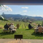 Willamette Valley Wine Tour with Lunch - Potential Drawbacks