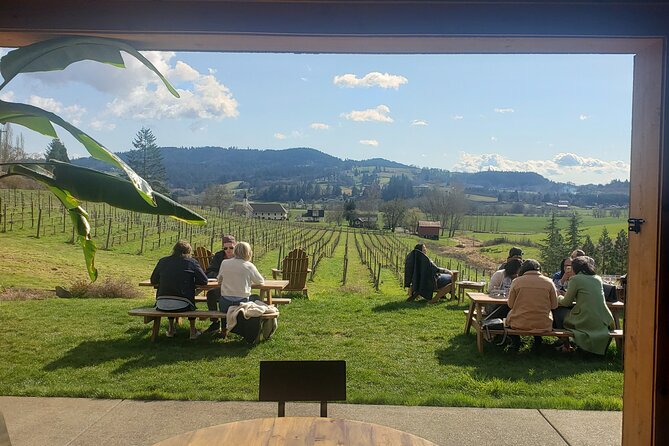 Willamette Valley Wine Tour with Lunch - Potential Drawbacks