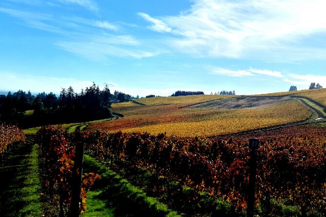 Willamette Valley Wine Tour with Lunch - The Sum Up