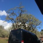 Willamette Valley Wine & Whisky - FAQs