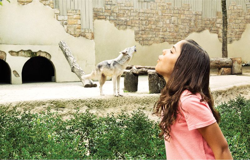 Williamsburg: Busch Gardens Ticket & Water Country Option - Who Will Love This Experience?