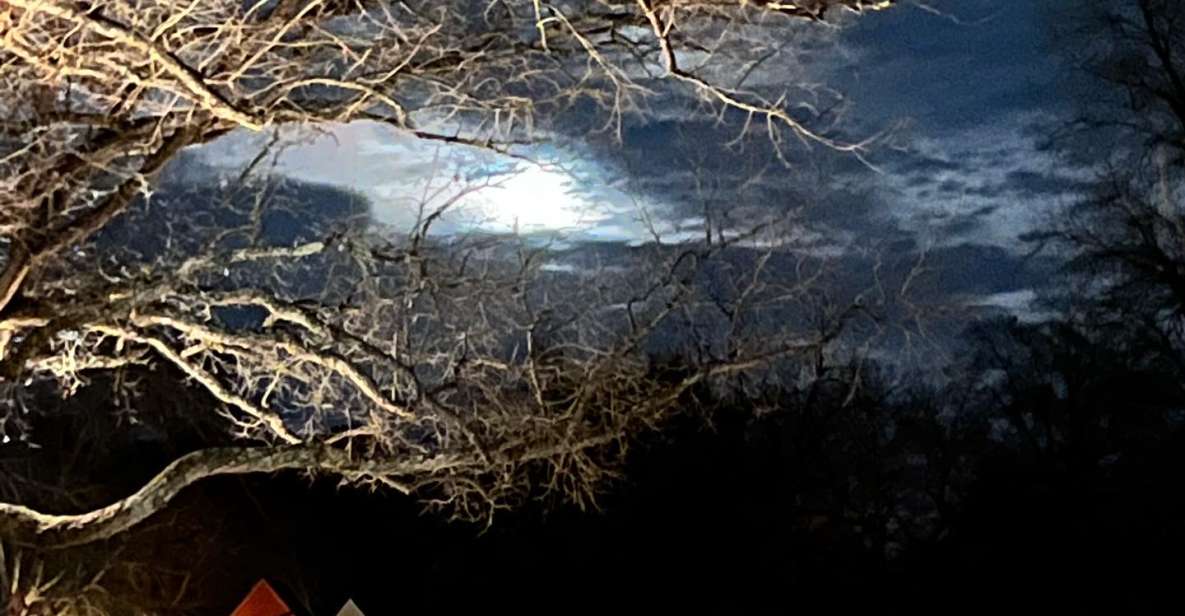 Williamsburg: Dead of Night Paranormal investigations Tour - Key Points