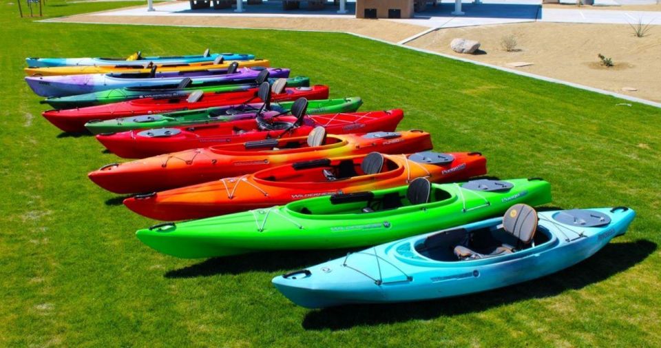 Willow Beach: Black Canyon Kayak Half Day Kayak Rentals - Authentic Guest Experiences and Tips