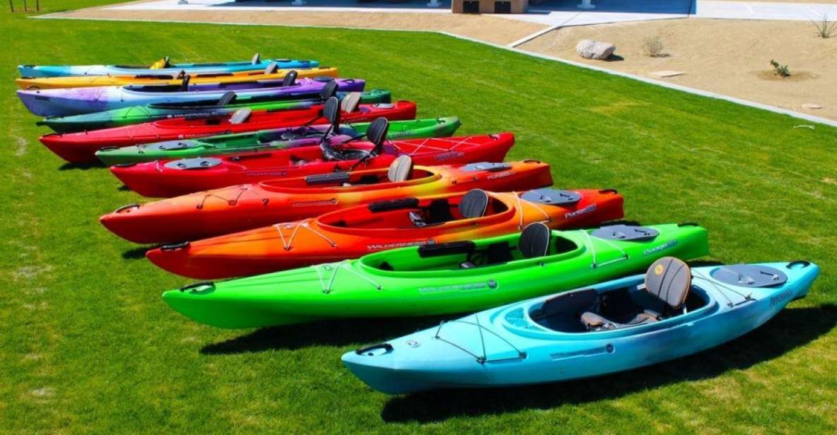 Willow Beach: Black Canyon Kayak Half Day Kayak Rentals - The Sum Up: Who Is This Kayak Rental Perfect For?