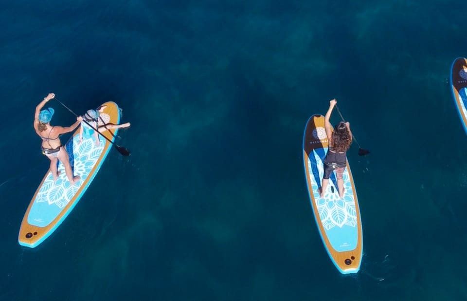 Willow Beach: Paddle Board Rental - Key Points