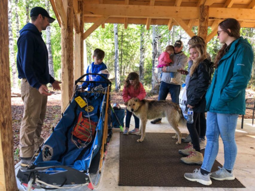 Willow: Summer Dog Sledding Ride in Alaska - Frequently Asked Questions